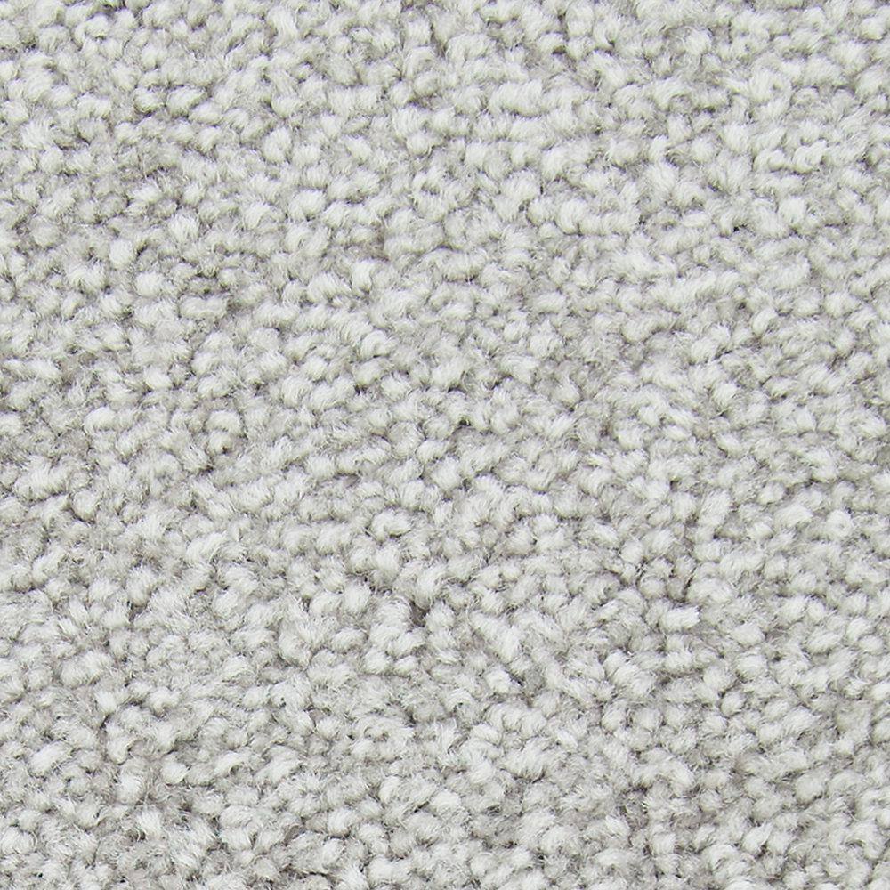 Lifeproof with Petproof Technology 8 in. x 8 in. Texture Carpet Sample ...