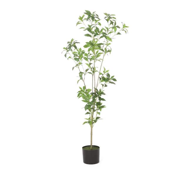 CHRISTOPHER KNIGHT HOME 3.9 ft. Artificial PIERIS Tree in Pot UM-74341. ...