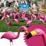 Bloem Red, White and Blue Plastic Flamingos Garden Yard Stake Decor (3 ...
