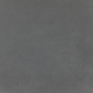 Have a question about Daltile Calgary Legacy 24 in. x 24 in. Matte ...