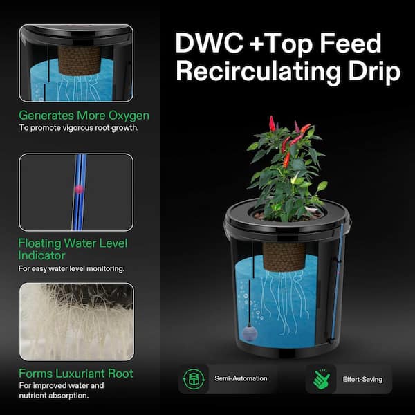 Recirculating Deep Water Culture Hydroponics