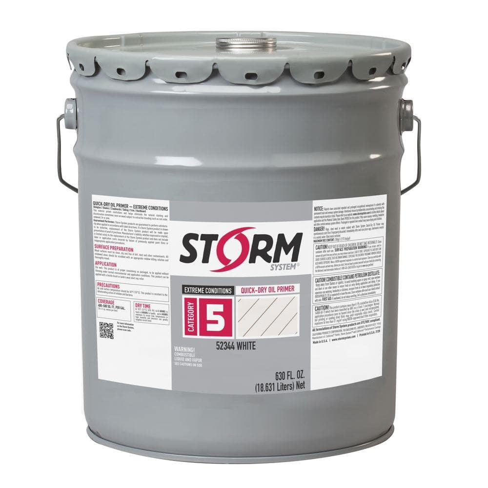 Storm System Category (5) 5 gal. White Exterior Wood Quick Dry Oil ...