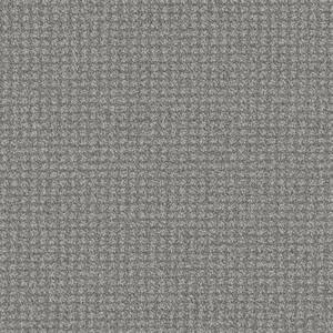 Home Decorators Collection 8 in. x 8 in. Pattern Carpet Sample ...