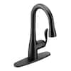 MOEN Arbor Single-Handle Pull-Down Sprayer Bar Faucet with Reflex and ...