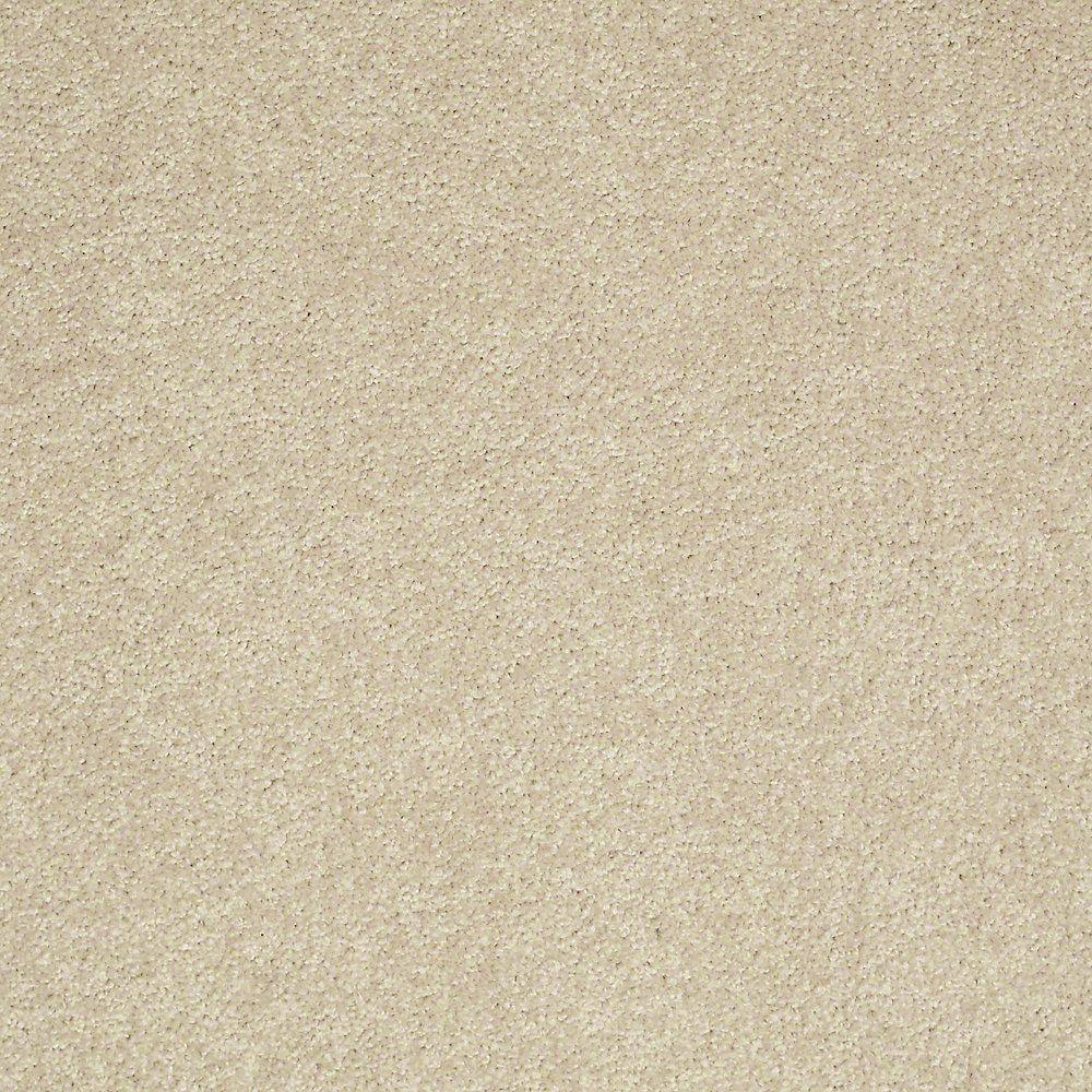 Home Decorators Collection Brave Soul II - Tea and Honey - Beige 15 ft ...