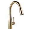 Delta Essa Gold Single Handle Pull-Down Sprayer Kitchen Faucet with ...