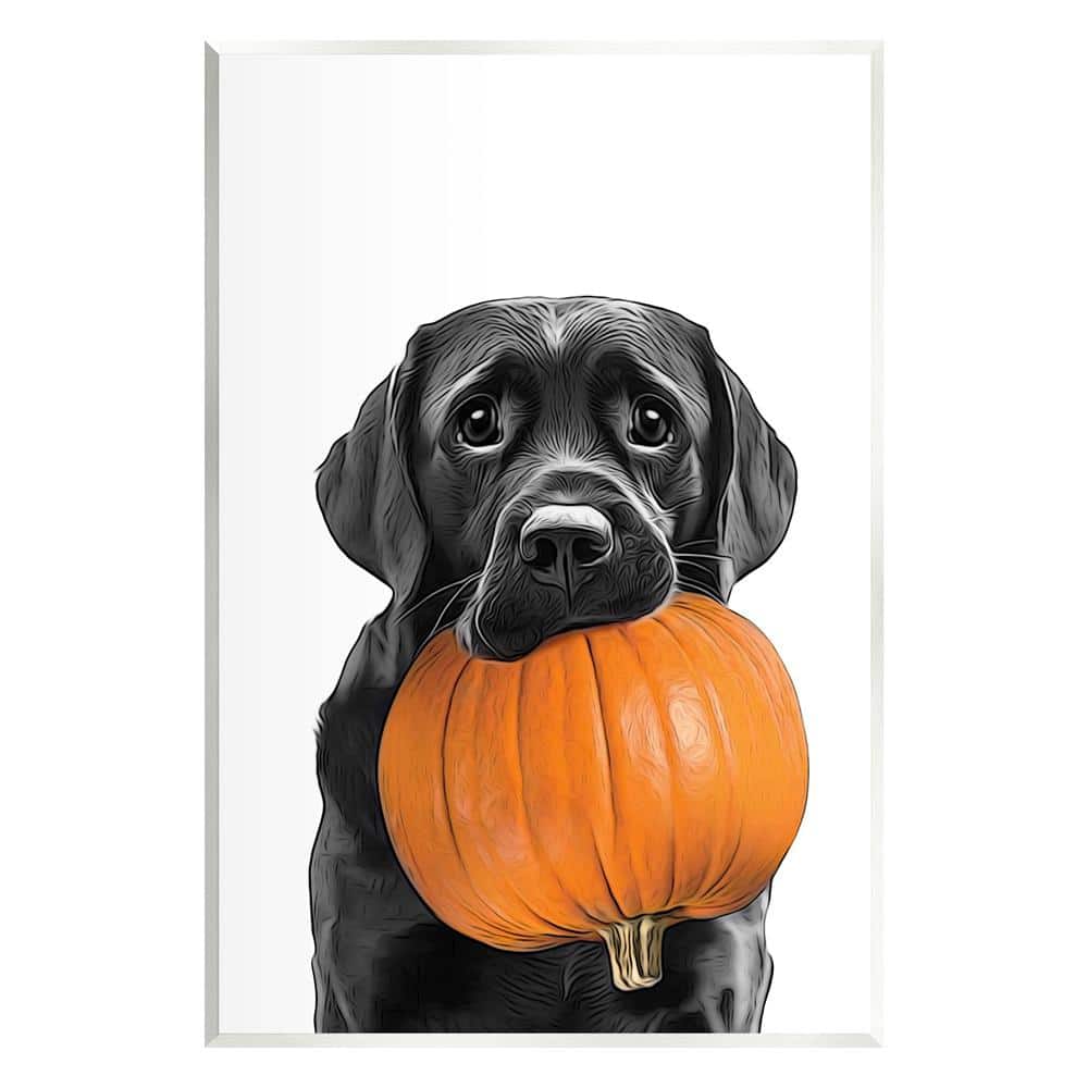 Stupell Industries Lab Dog with Pumpkin by Annalisa Latella 1-Piece Unframed Graphic Print ...