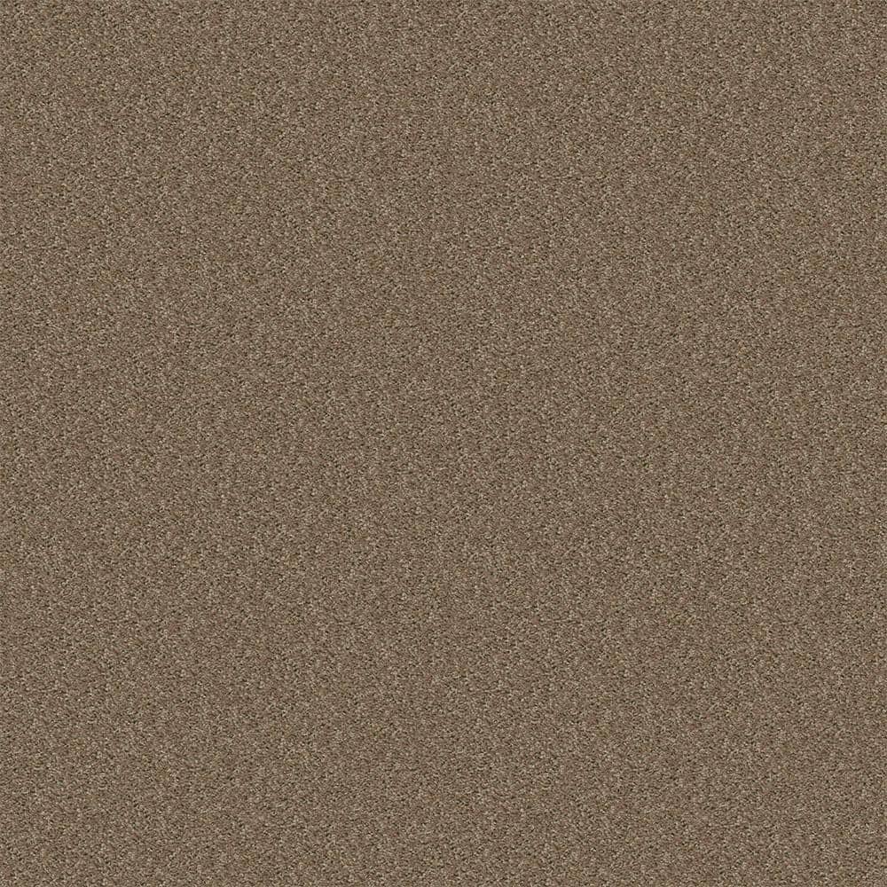 Reviews for TrafficMaster Alpine - Natural - Brown 15 ft. 17.3 oz ...
