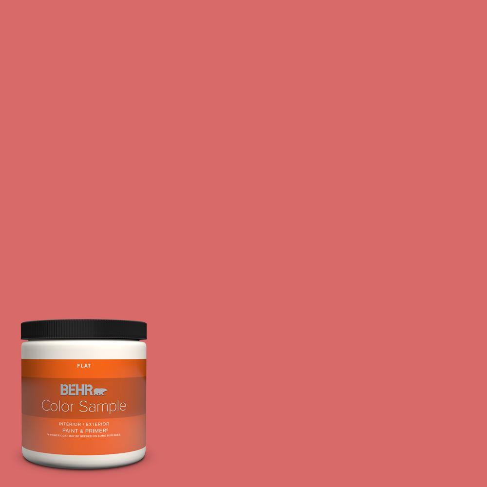 Behr Coral Paint Colors
