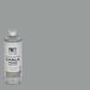 PINTY PLUS 11.82 oz. Ash Grey Chalk Finish Spray Paint NOV 798 - The ...