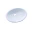 TOTO 21 in. Rectangular Undermount Bathroom Sink with CeFiONtect in ...