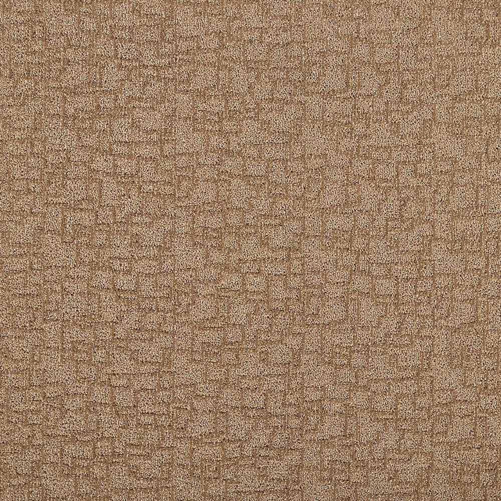 Lifeproof 8 in. x 8 in. Pattern Carpet Sample-Painted Picture-Color ...