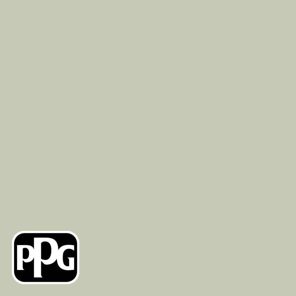 PPG Speedhide Pro EV Zero 5 gal. PPG1125-3 Whispering Pine Flat ...