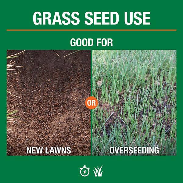 Pennington Smart Seed Sun Shade Northern Lawn Grass Seed, 05/17/2023