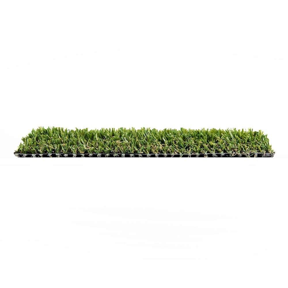 TURF DISTRIBUTORS Eco 72 (1 ft. x 1 ft. Sample Square) Eco 72 Sample ...