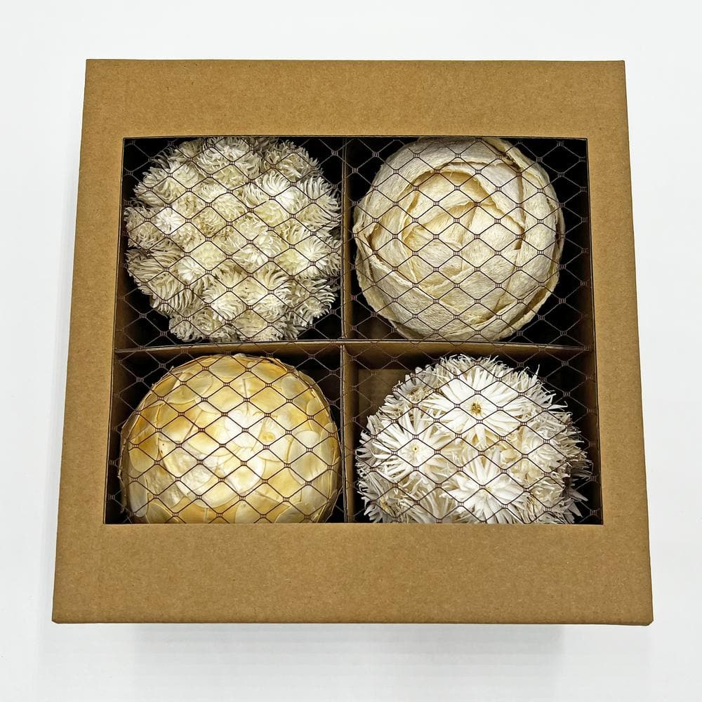 castellousa Preserved Conifer Pinecone Topiary Balls CB-HF26-TB-CJI026 ...