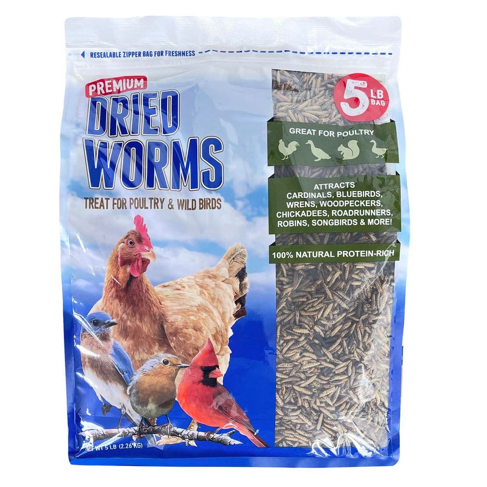 FLOCK FEST 5 lb. Bag Dried Worms, High Protein Treat for Poultry, Ducks ...