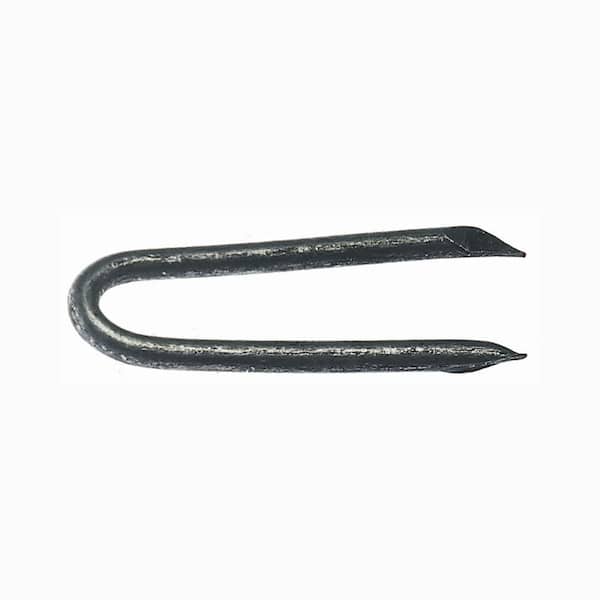 Everbilt 1-1/2 in. x 9/16 in. Crown Hot Dipped Galvanized Fence Staples ...