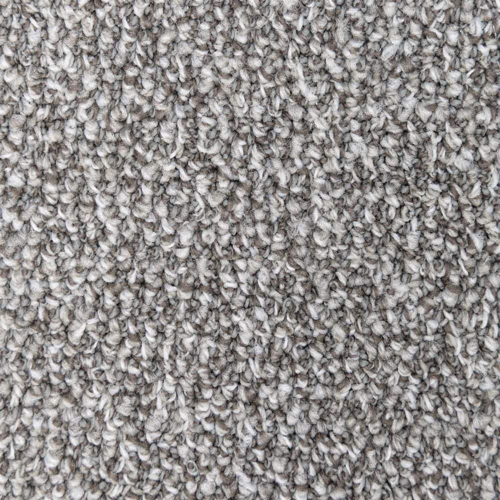 Home Decorators Collection 8 in. x 8 in. Loop Carpet Sample - Mcdonald ...