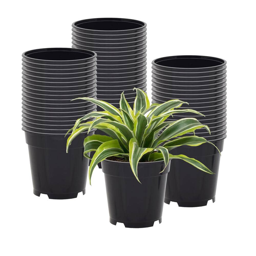 Arcadia Garden Products 4 in. Black Plastic Standard Grow Pot (250-Pack ...