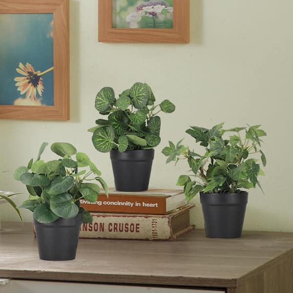 Oumilen 8.5 in. Mini Faux Potted Plants - Realistic Small Green ...