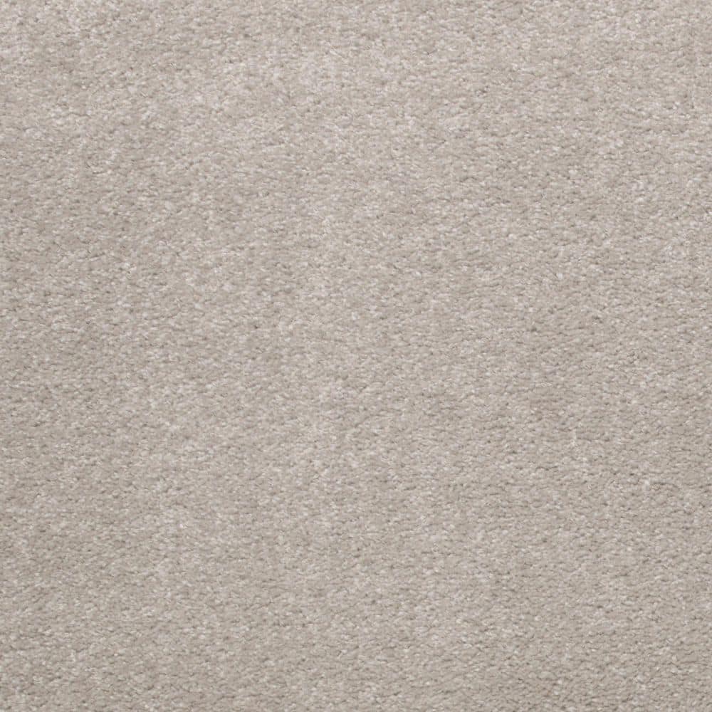 Mohawk 8 in. x 8 in. Texture Carpet Sample - Appreciate I - Color ...