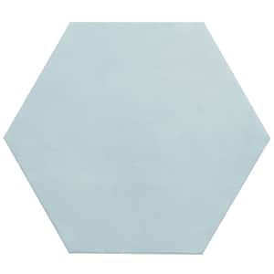 Ivy Hill Tile Eclipse Orange 7.79 in. x 0.59 in. Matte Porcelain Floor ...
