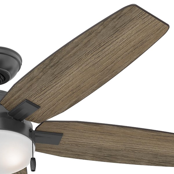 Hunter Anfield 54 Inch Ceiling Fan | Shelly Lighting