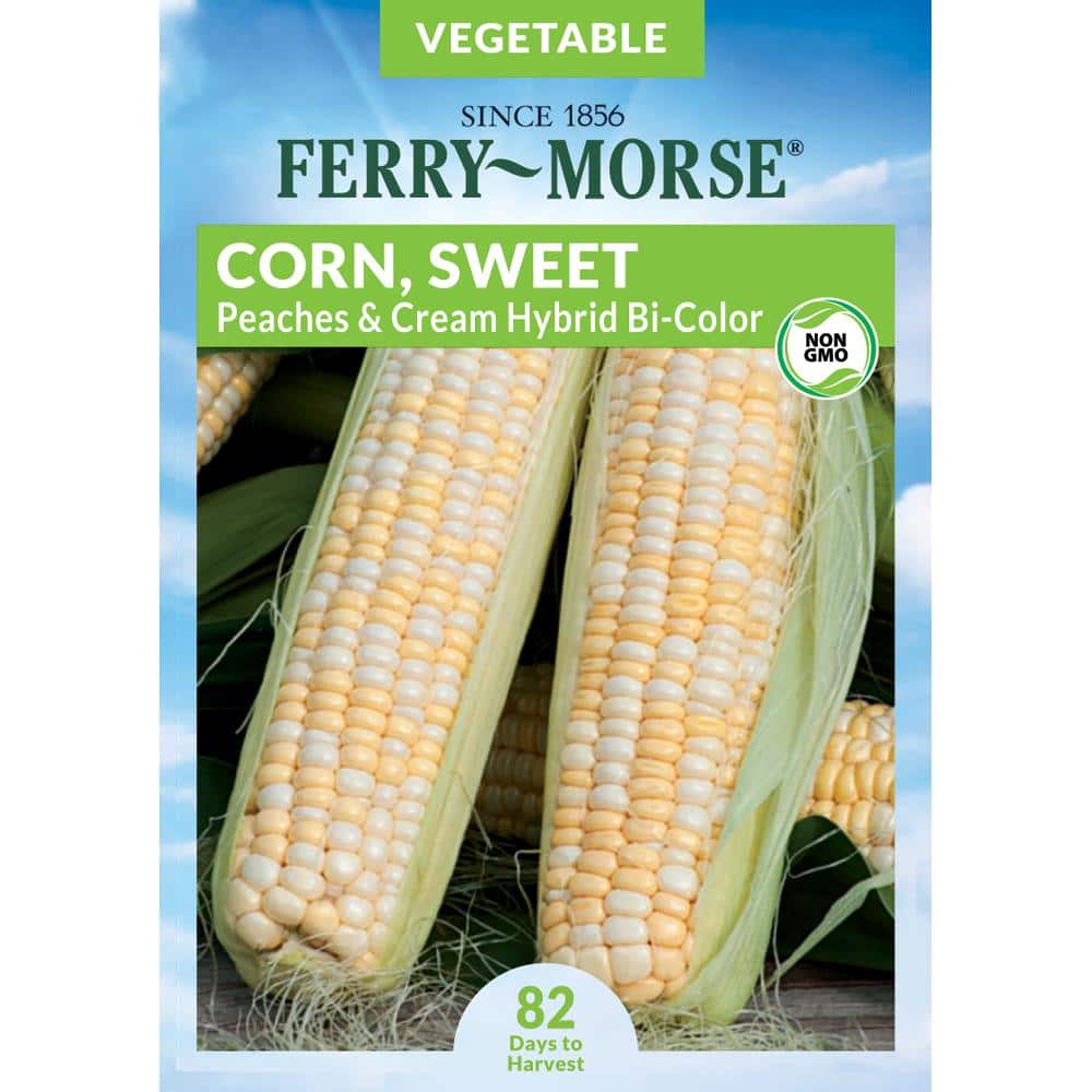 Ferry-Morse Sweet Corn Peaches & Cream Hybrid Bi-Color Fruit Seed 4038 ...