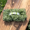 Sod Pods St Augustine CitraBlue Grass Sod Plugs Natural, Affordable ...