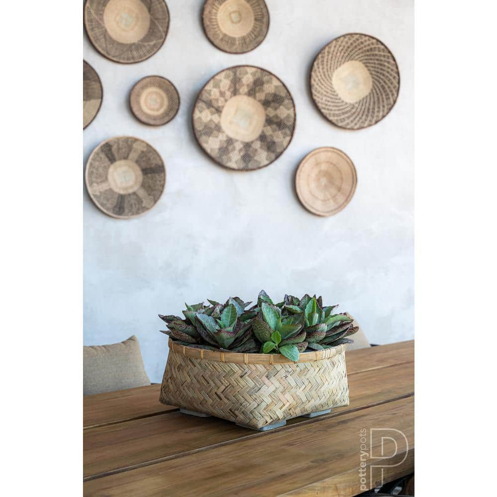 PotteryPots 8 in. Tall, Natural Finish Nala Low Large Bamboo Indoor ...