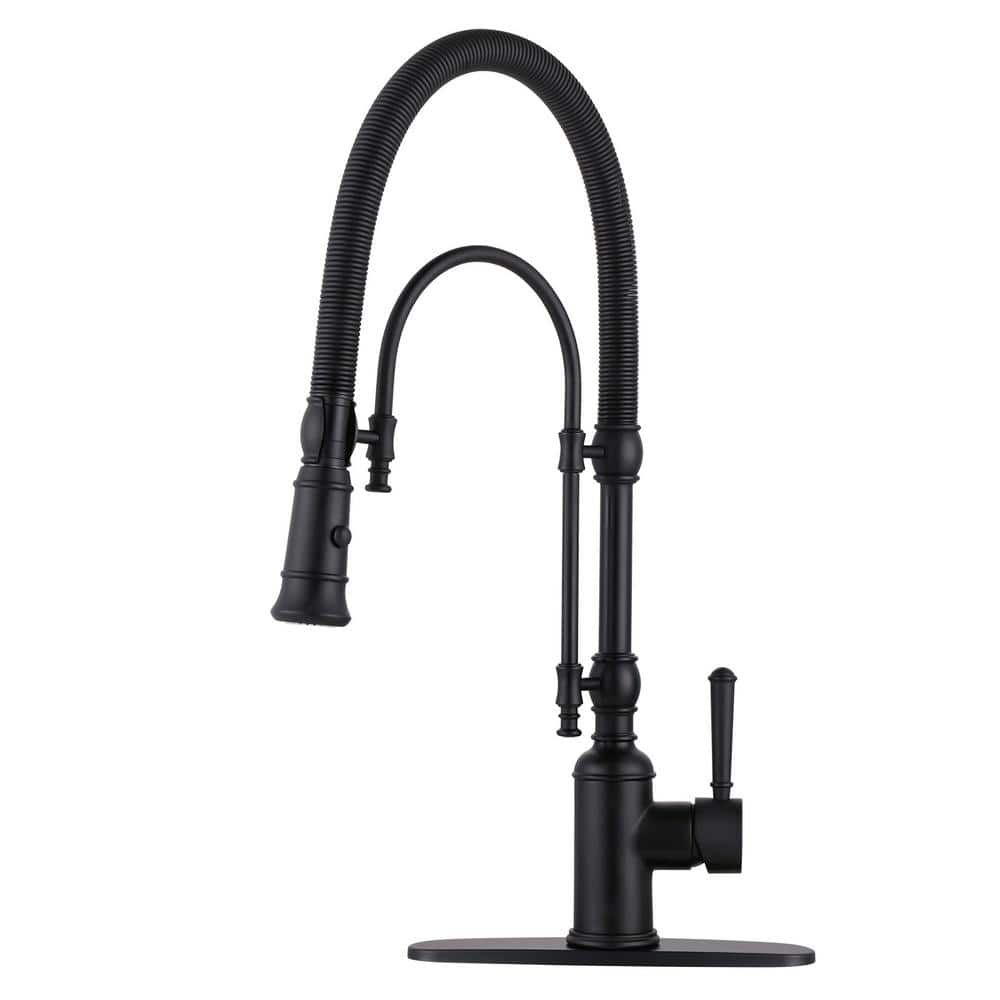 ARCORA Stand Single Handle Pull Out Sprayer Kitchen Faucet Deck Plate ...
