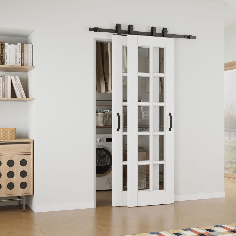 ARK DESIGN 48 in. x 80 in. (Double 24 in.) 10-Lite Clear Glass White ...