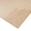 Columbia Forest Products 1/4 in. x 4 ft. x 8 ft. PureBond Birch Plywood ...