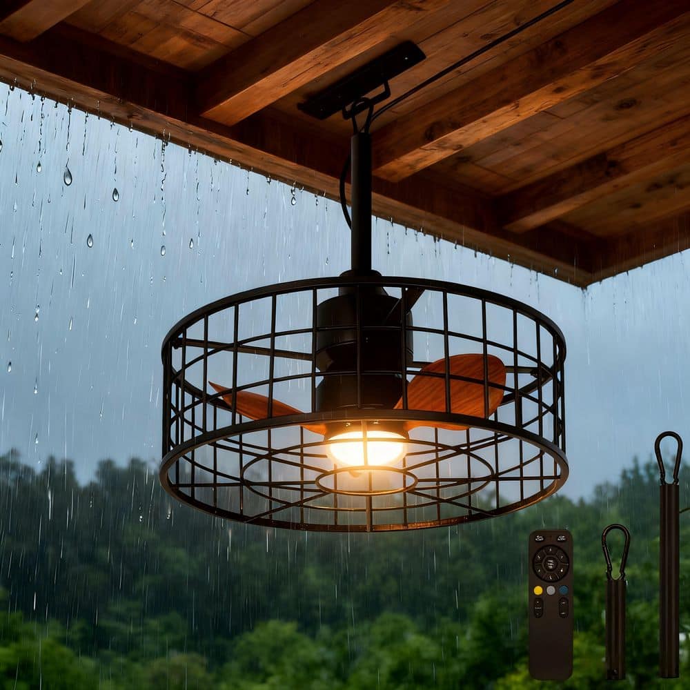 ARISKEEN 20 in. Waterproof Outdoor Black Ceiling Fan with Lights with ...