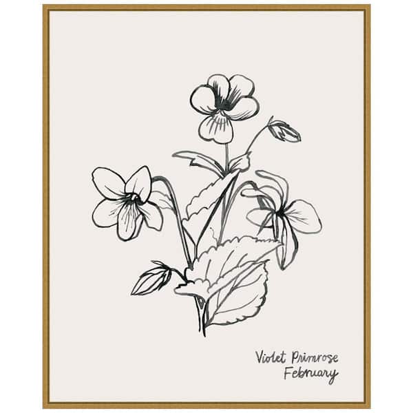 Amanti Art "Annual Flowers II" by Grace Popp 1 Piece Floater Frame ...