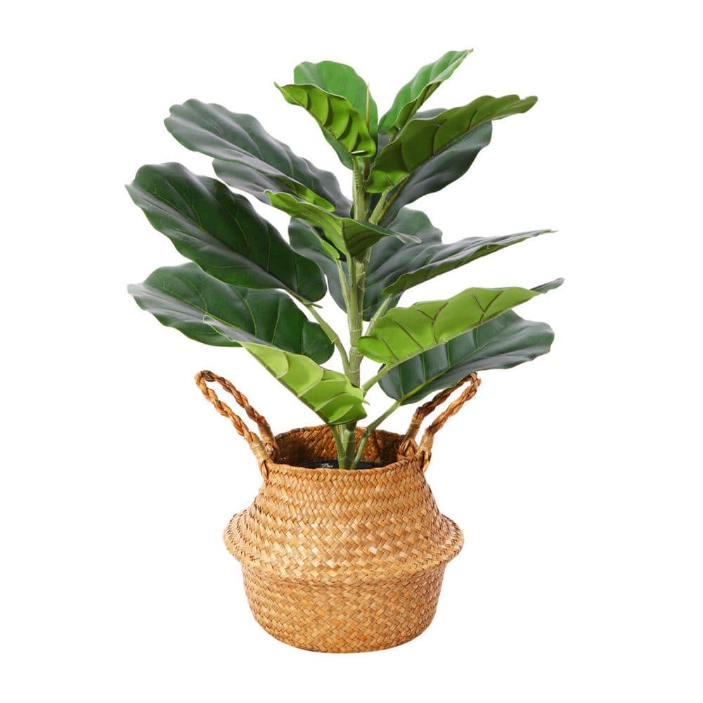 DR.Planzen 22 in. Artificial Fiddle Leaf Fig Tree with Seagrass Basket ...