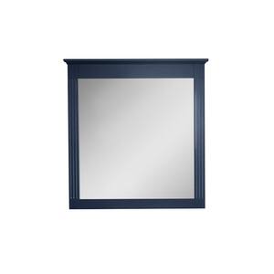 TILE & TOP 25 in. W x 36 in. H Framed Rectangular Bathroom Vanity ...