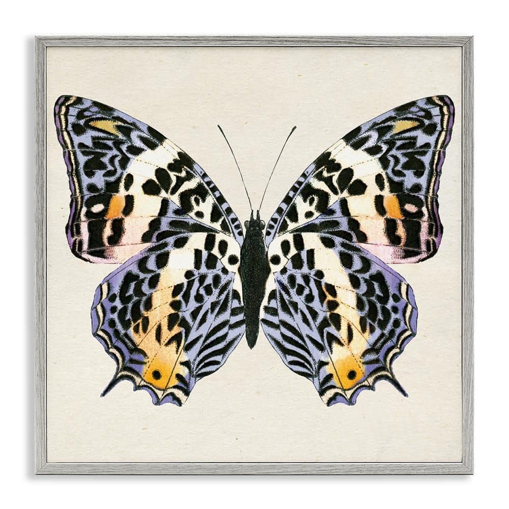 Stupell Industries Speckled Butterfly Sketch by Susan Arnot Gray Framed ...