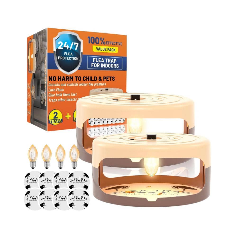 Oyezvary Modern Indoor Flea Traps with 8 Sticky Disc & 4 Bulbs & 2 ...