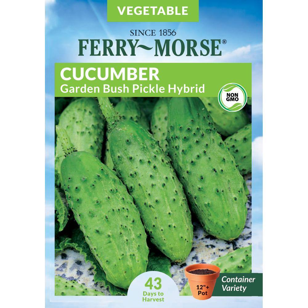 Ferry-Morse Cucumber Garden Bush Pickle Hybrid Fruit Seed 9513 - The ...