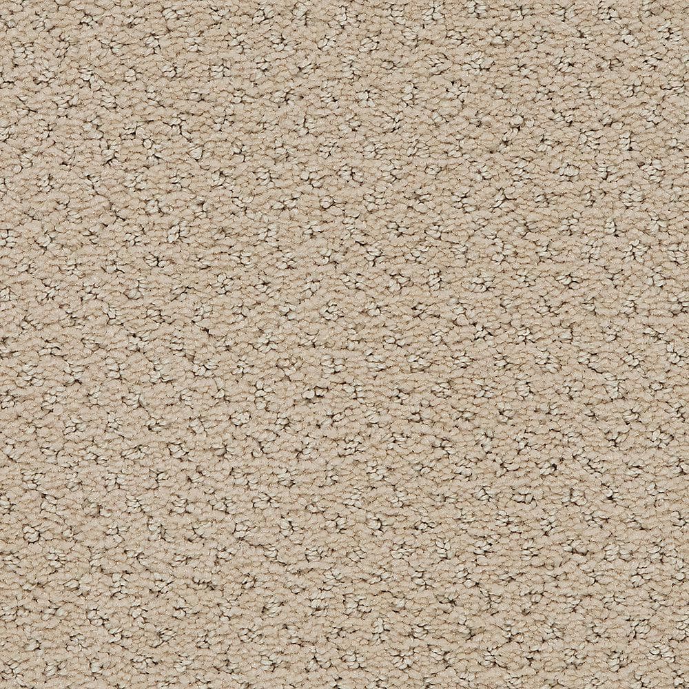 Lifeproof with Petproof Technology 8 in. x 8 in. Pattern Carpet Sample ...