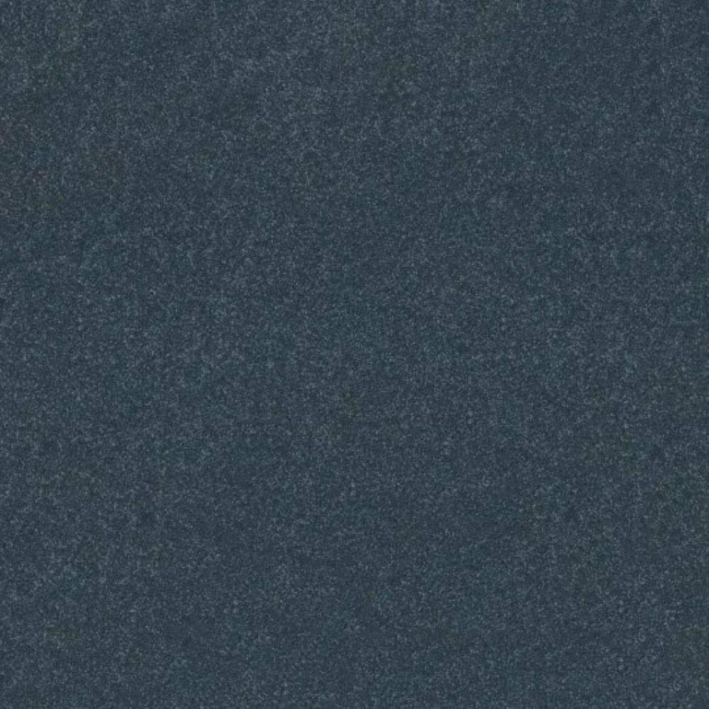 Home Decorators Collection 8 in. x 8 in. Texture Carpet Sample - House ...