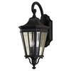 Generation Lighting Cotswold Lane 2-Light Black Outdoor 20.5 in. Wall Lantern Sconce OL5401BK ...
