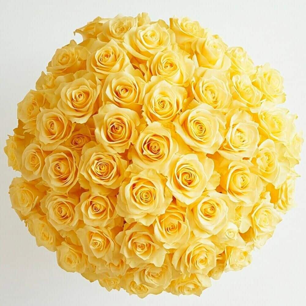 Globalrose Fresh Yellow Roses for Valentine's Day (100 Stems) 100 ...