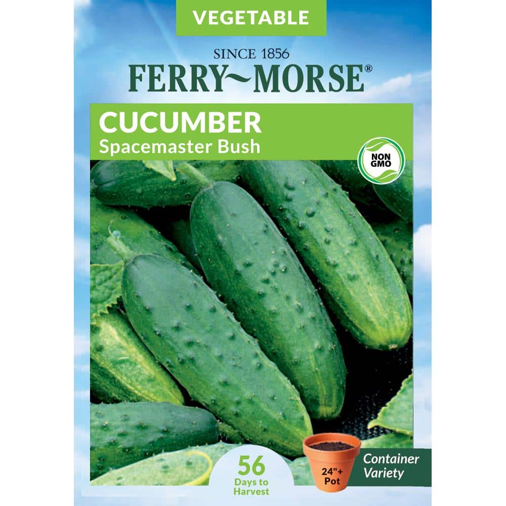 Ferry-Morse Cucumber Spacemaster Bush Fruit Seeds 0804 - The Home Depot