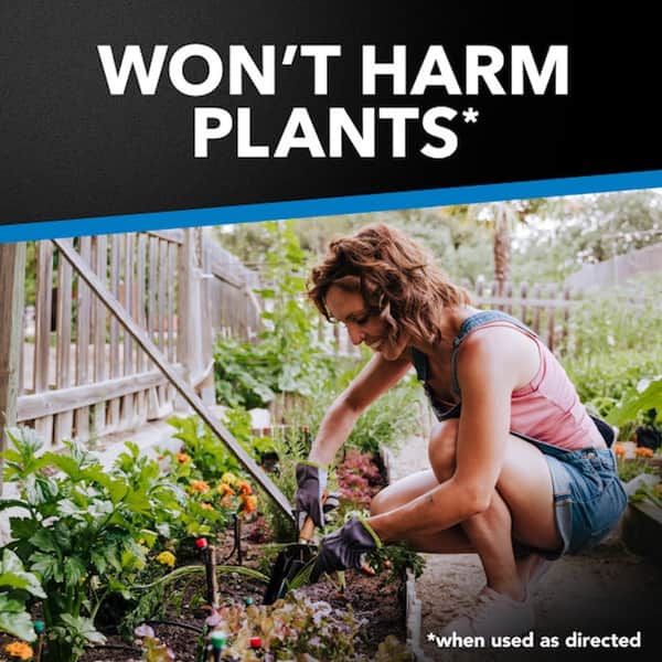 Raid Defend Flying Insect Killer 7, Flying Insect Spray Can, Outdoor ...