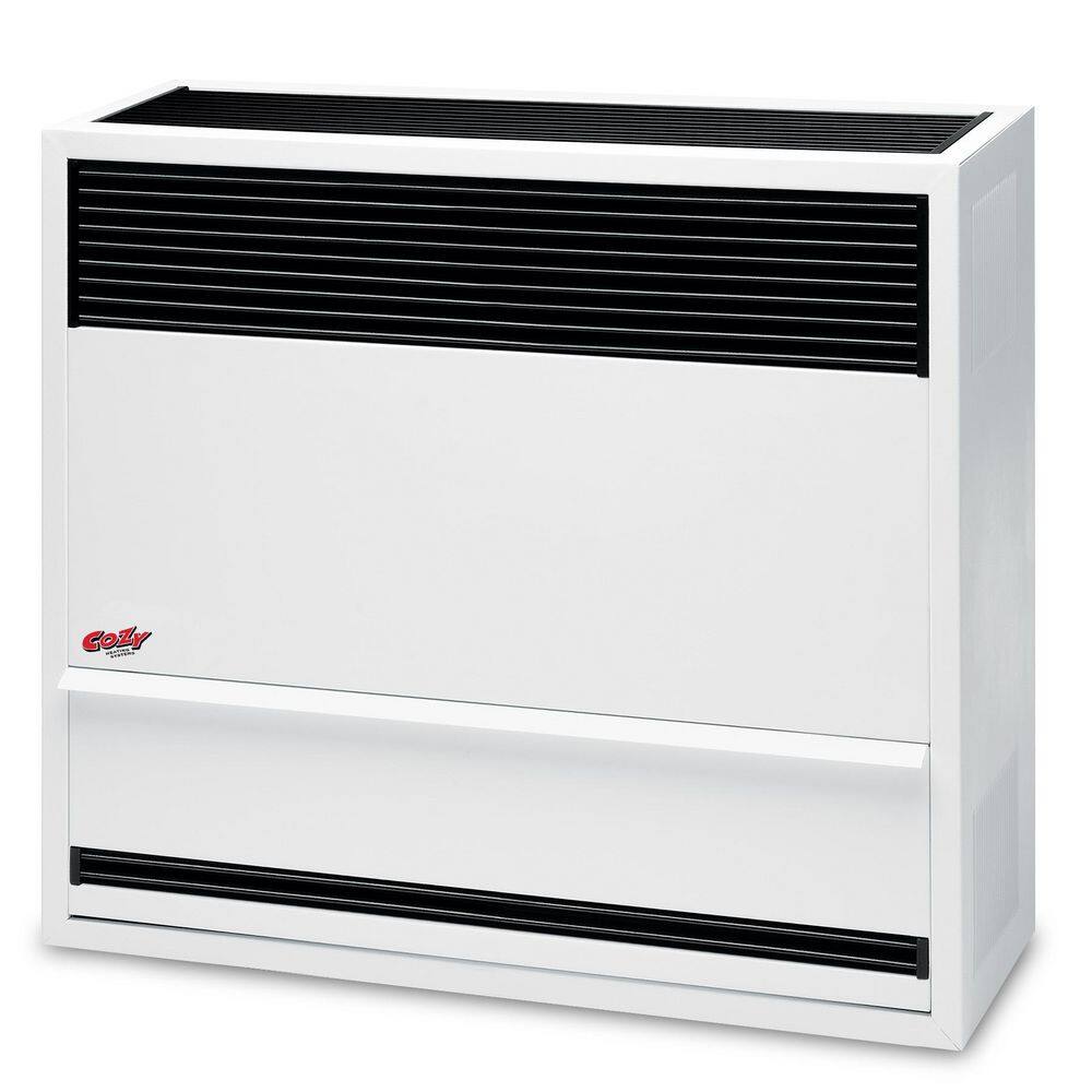Cozy 30,000 BTU/hr Direct Vent Natural Gas Wall Heater CDV302E - The ...