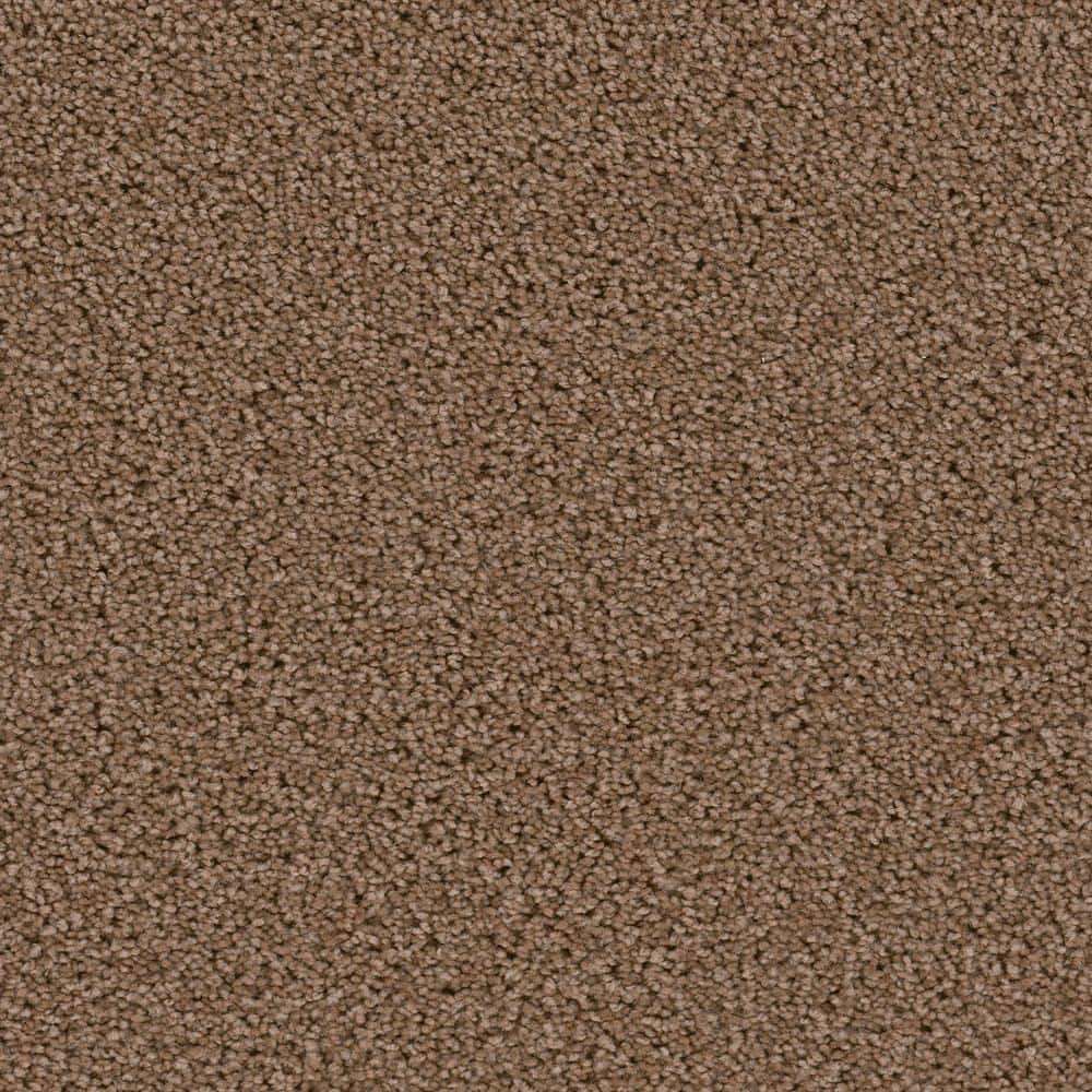 TrafficMaster Happy Chance - Cloud Nine - Beige 30 oz. SD Polyester ...