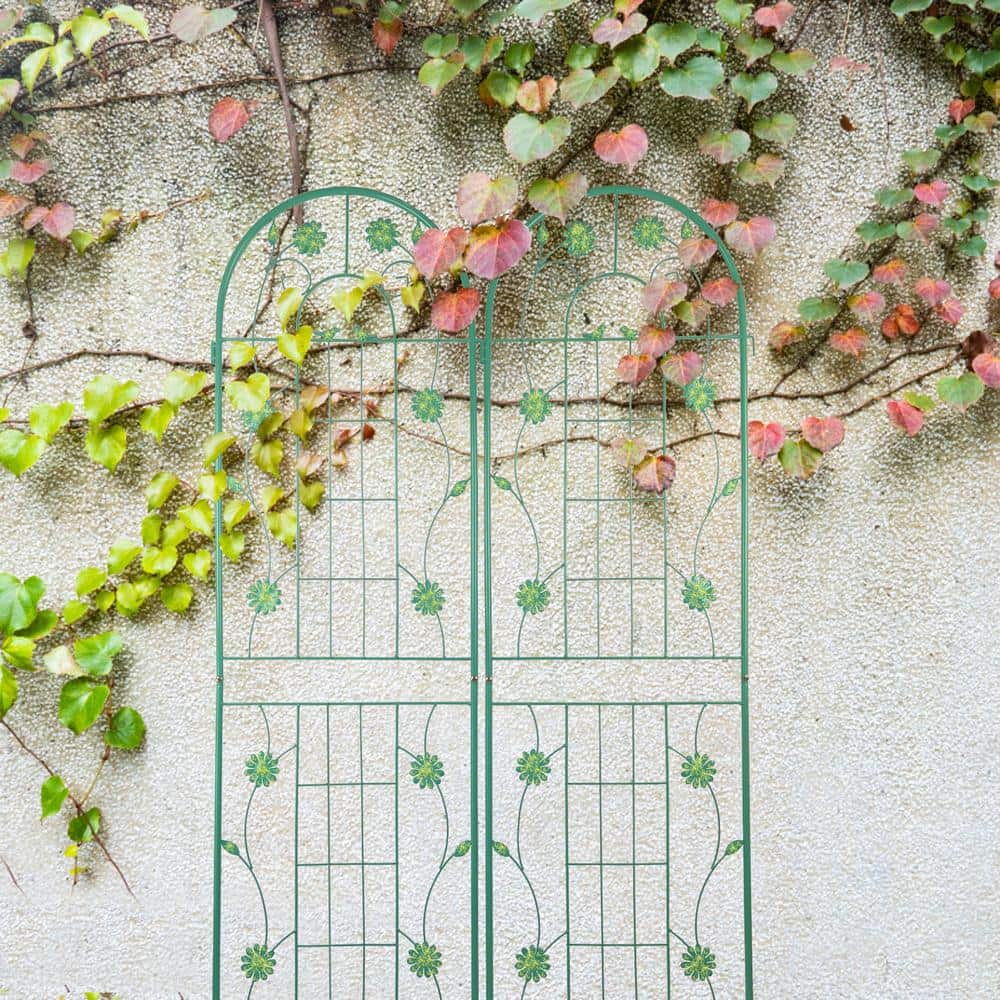 Zeus & Ruta 71 in. Metal Trellis in Green (2-Pack) 84g9-ad-5 - The Home ...